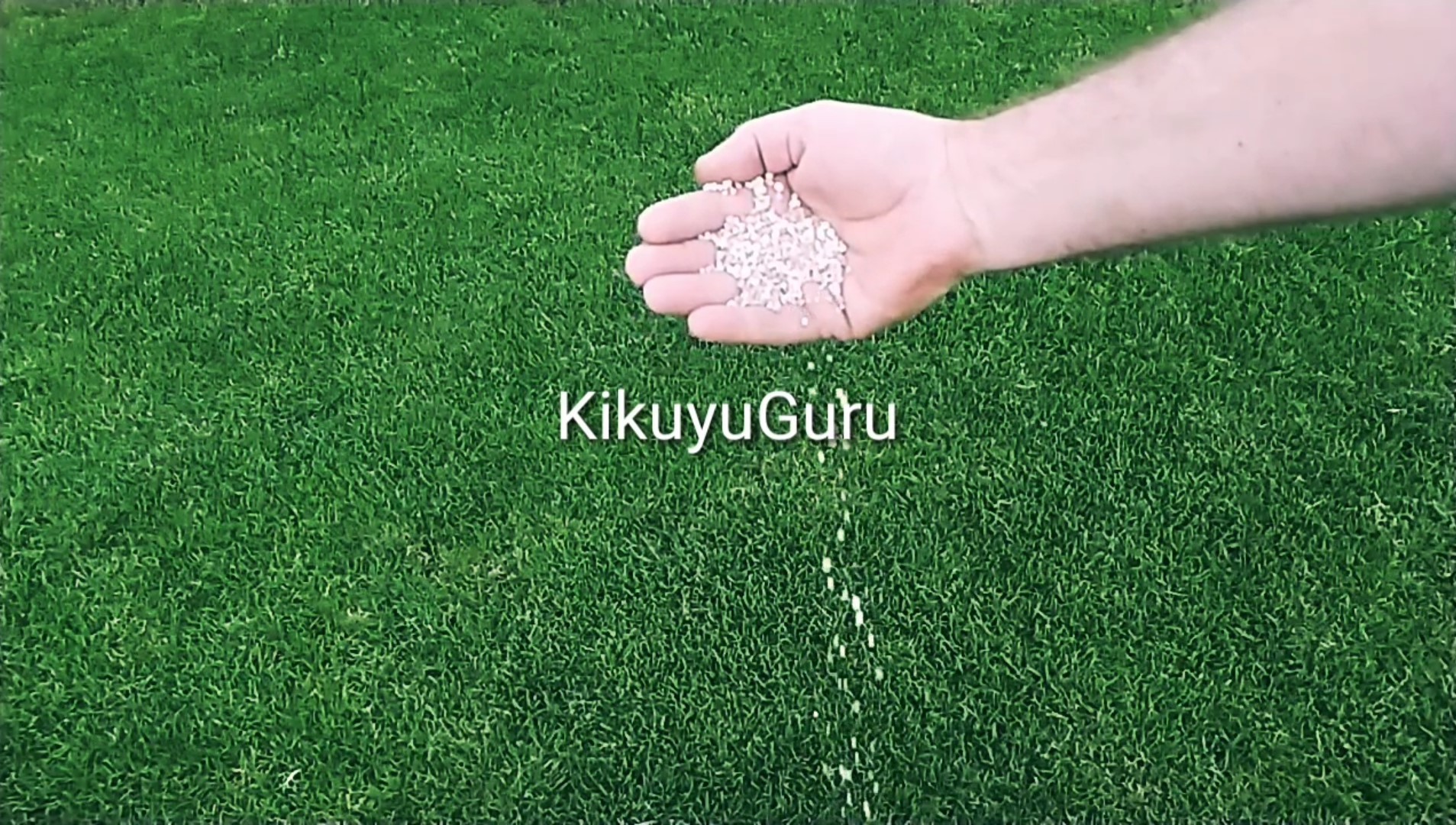 Ultimate Lawn Care Ultimate Lawn Care